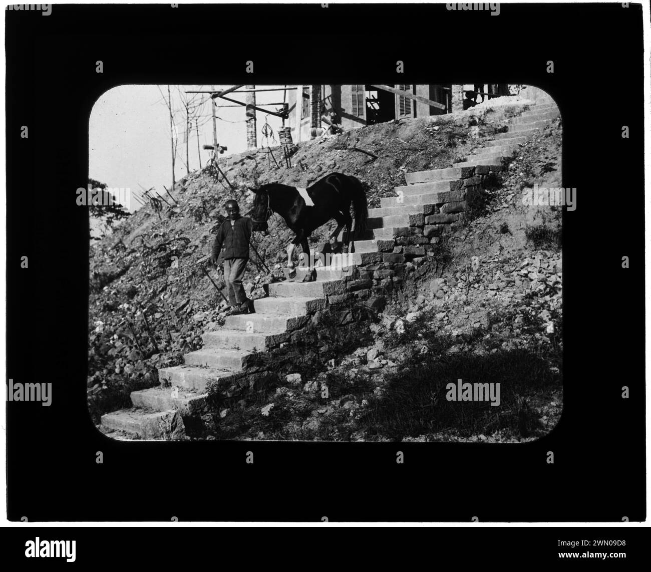 Person leading a horse down stairs. Person leading a horse down stairs ...