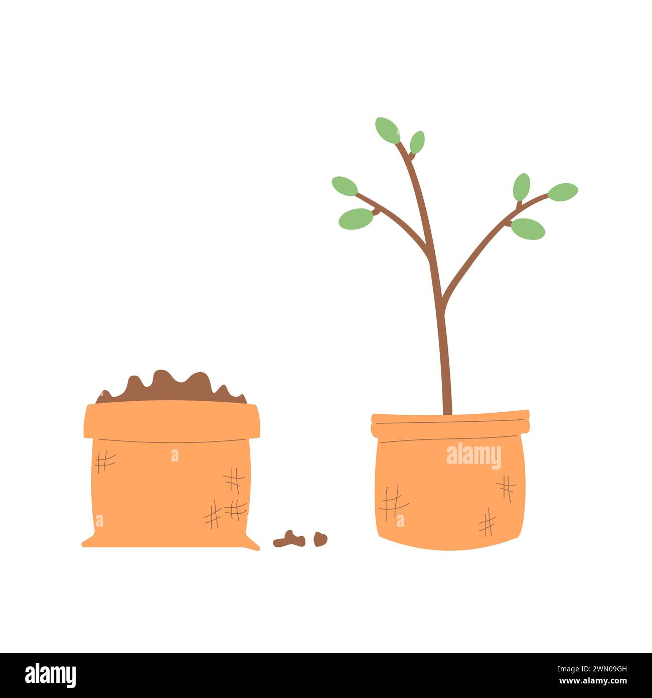 Growing trees. Gardening element isolated on white background. Spring ...