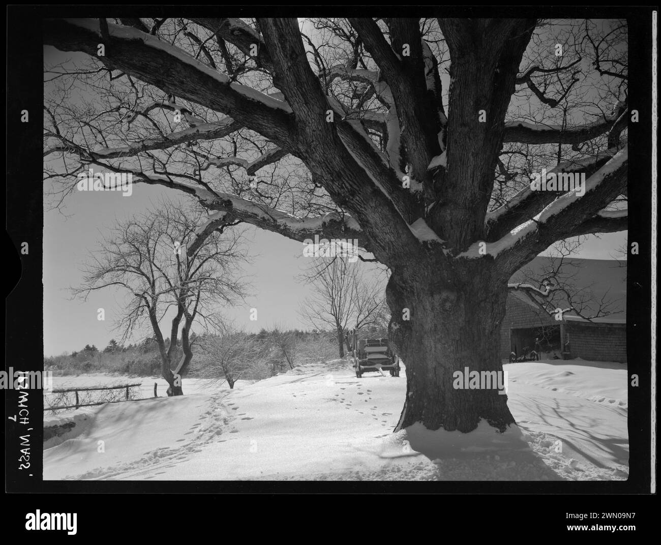 Trees and building, Ipswich. Trees and building, Ipswich Stock Photo ...