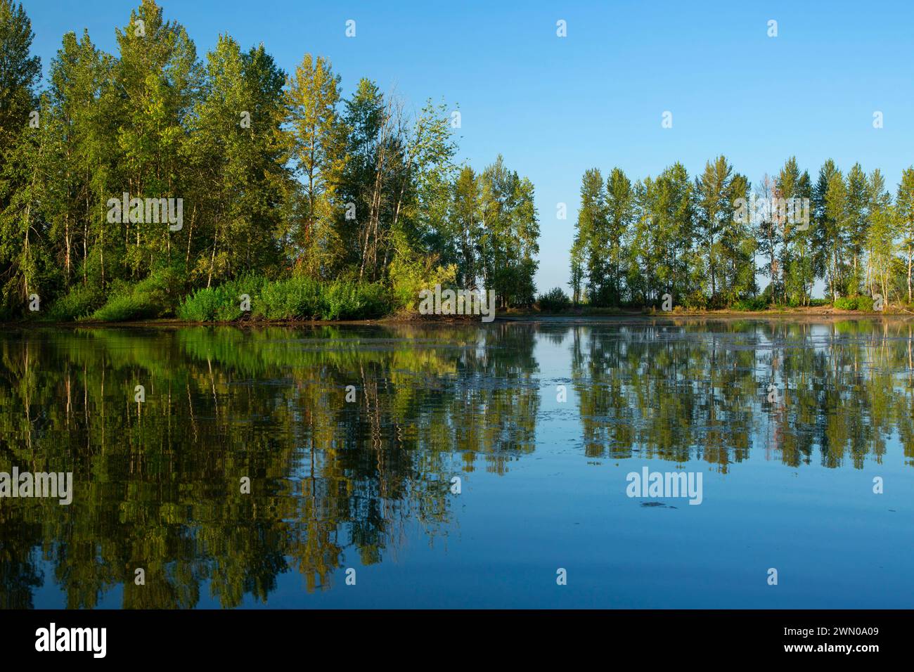 Woodburn lake hi-res stock photography and images - Alamy