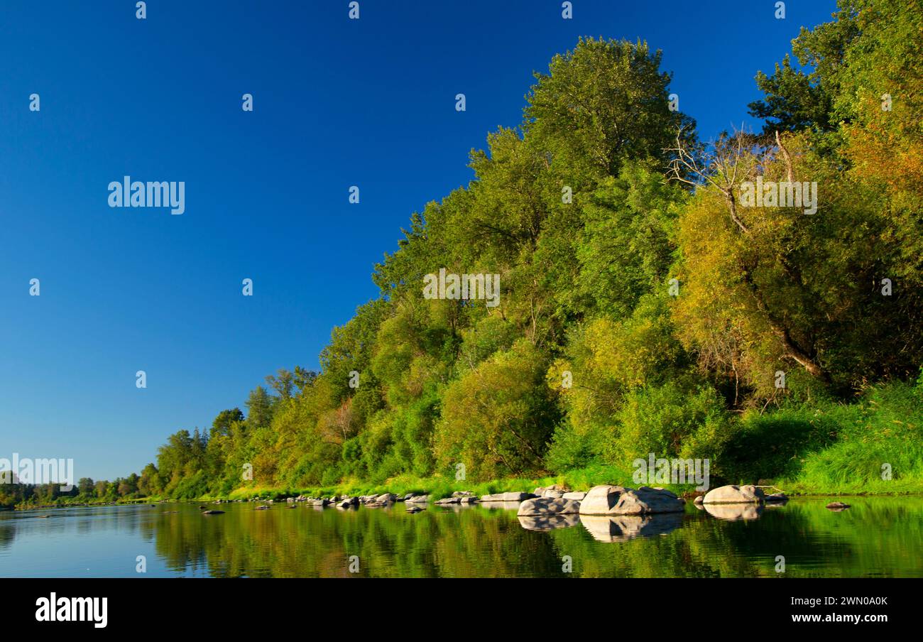 Willamette River, Willamette River Greenway, Marion County, Oregon ...
