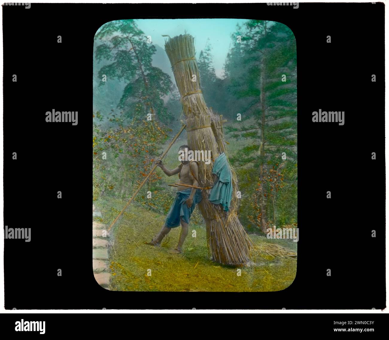 Man carrying bamboo. Man carrying bamboo Stock Photo - Alamy