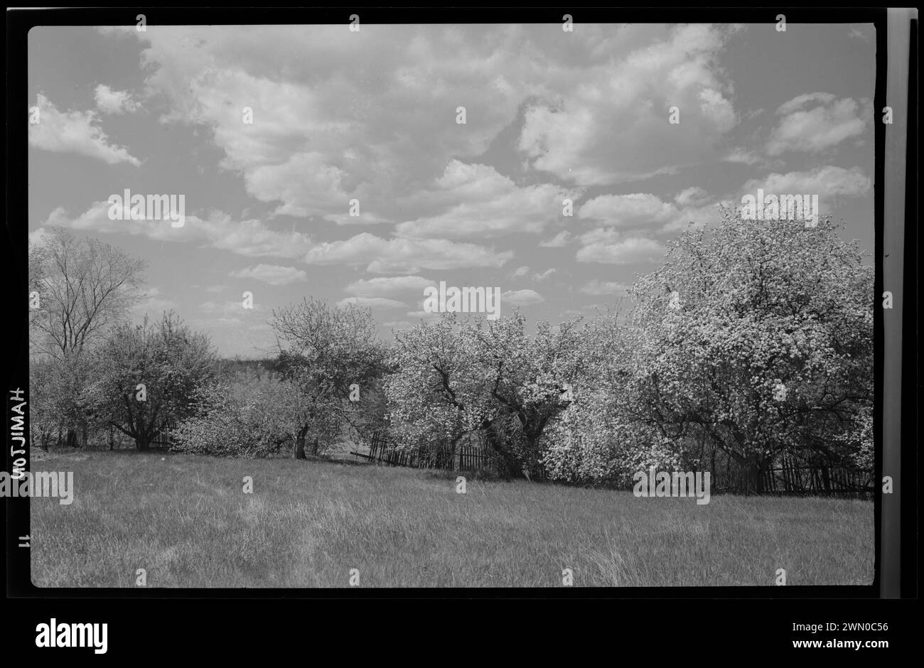 Landscape, Hamilton. Landscape, Hamilton Stock Photo - Alamy