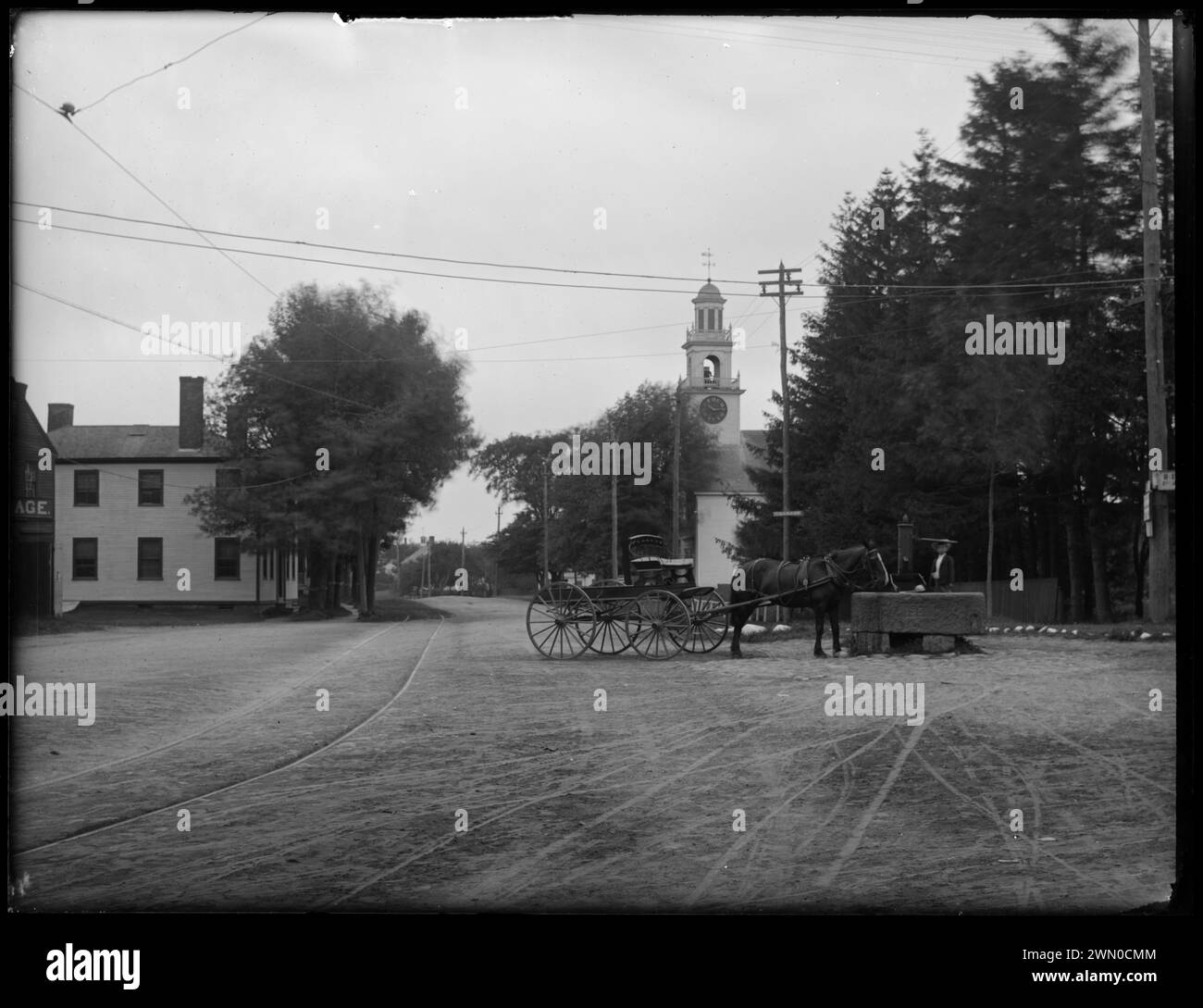 Horse and buggy on tree lined street. Horse and buggy on tree lined ...