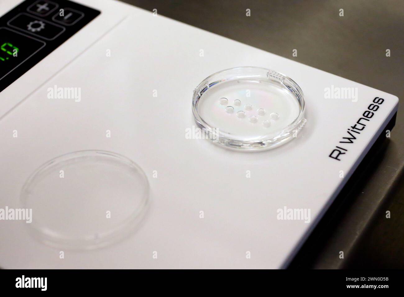 A 1.5 inch petri dish, where each dot holds an embryo fertilized 1-7 ...