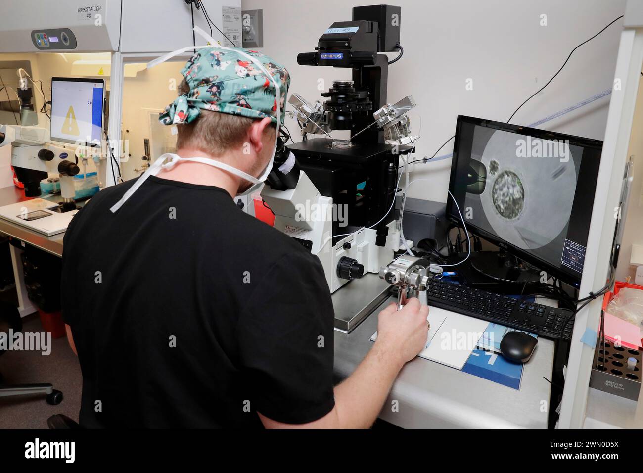 Lab staff use a microscope stand and articulated hand controls to ...