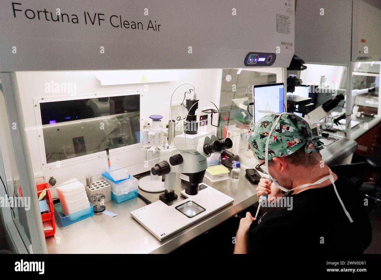 Lab staff prepare small petri dishes, each holding several 1-7 day old ...