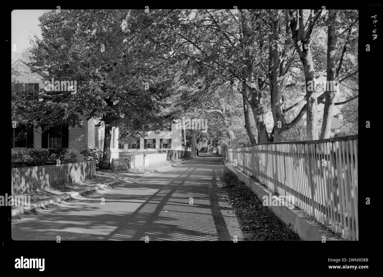 Cooke Street, Edgartown, Martha's Vineyard. Cooke Street, Edgartown ...