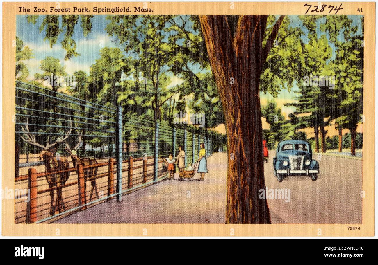 The zoo, Forest Park, Springfield, Mass.. The zoo, Forest Park ...