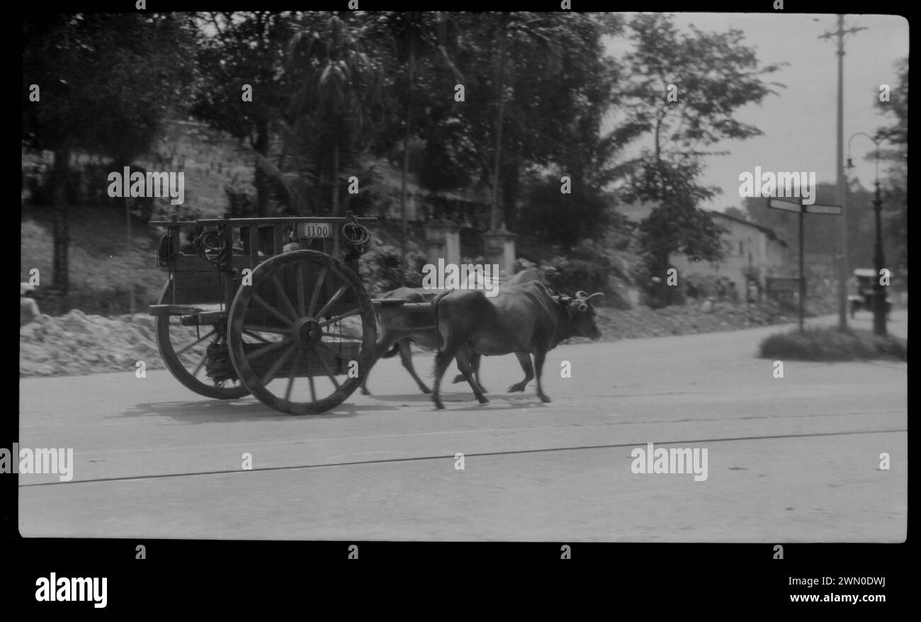 Ox cart singapore singapore hi-res stock photography and images - Alamy