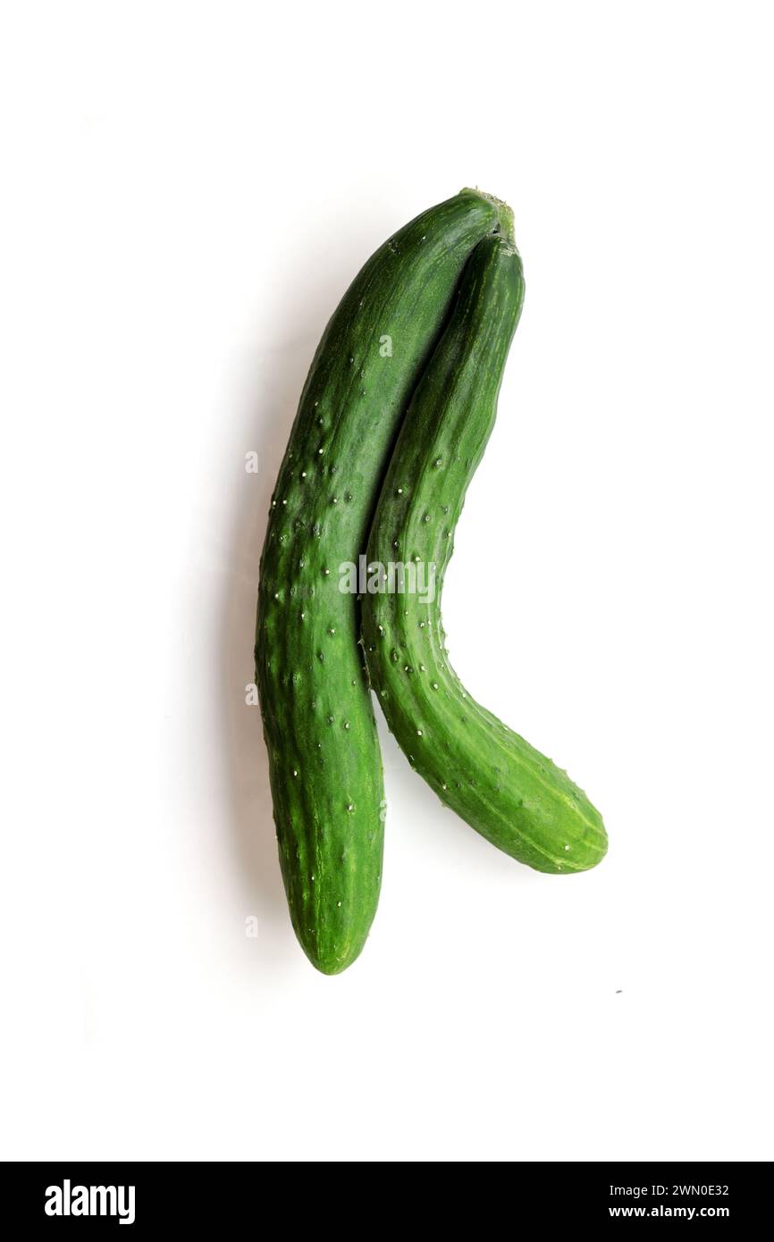 Conjoined twins hi-res stock photography and images - Alamy