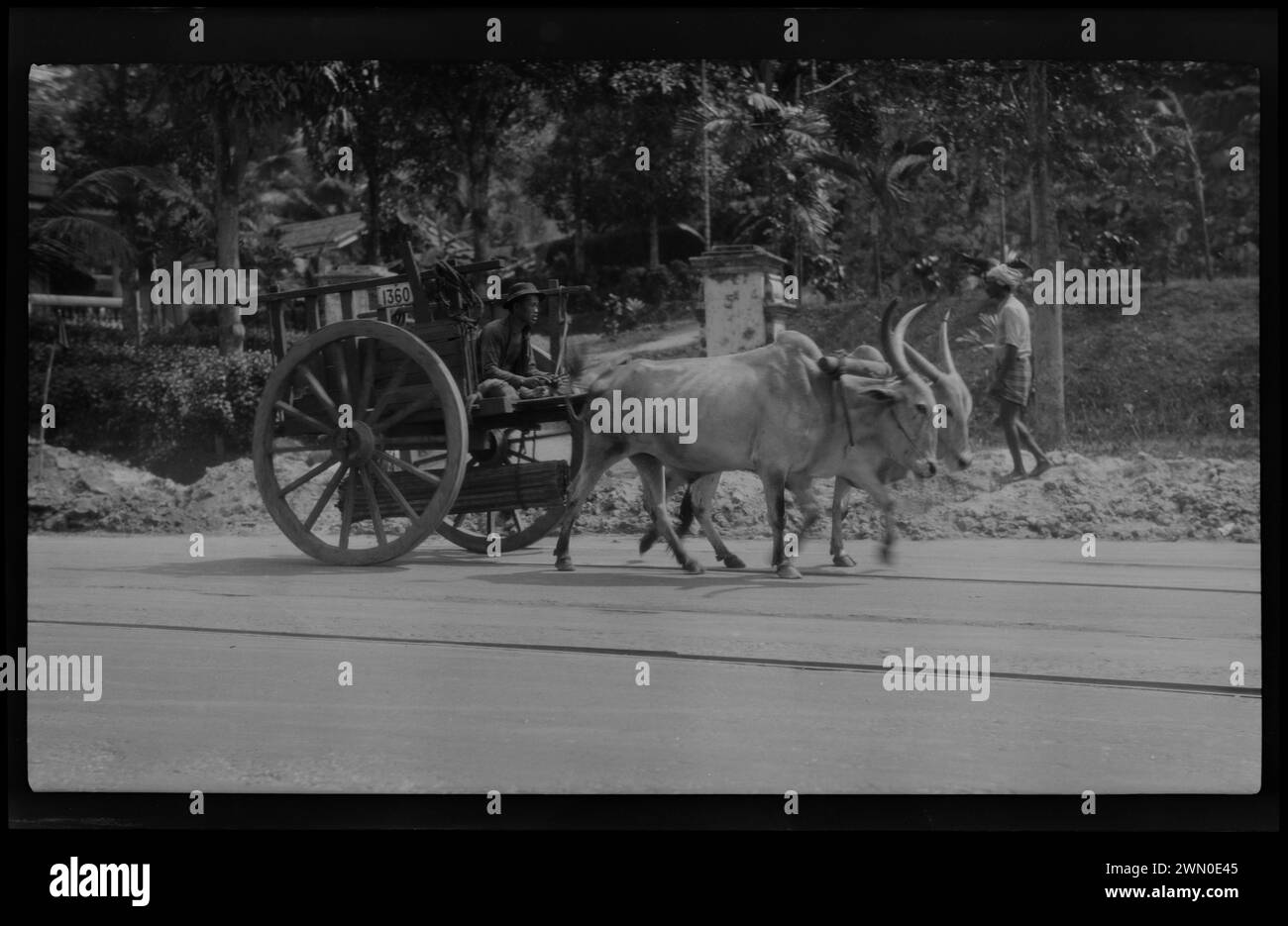 Ox cart, Singapore. Ox cart, Singapore Stock Photo - Alamy