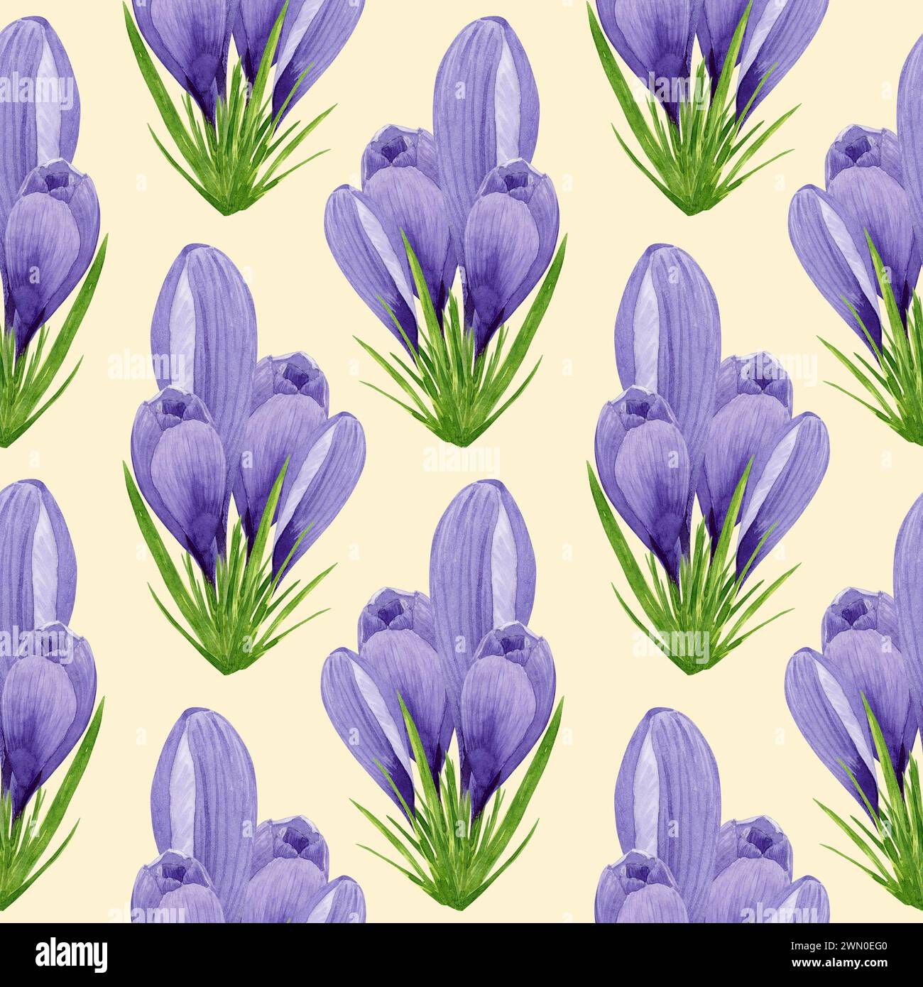 Watercolor purple crocuses seamless pattern, spring flower digital ...