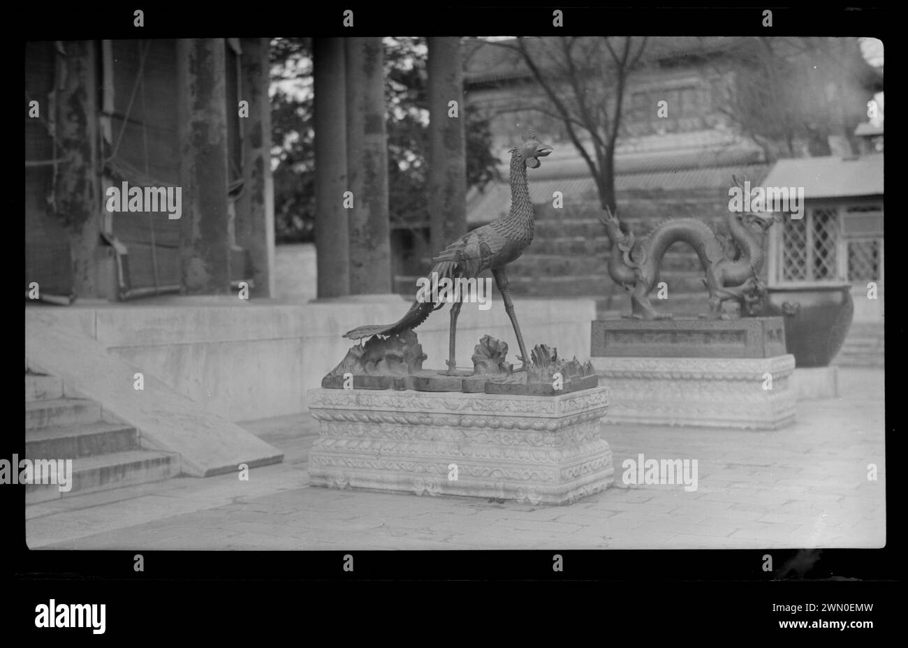Statue of Phoenix. Statue of Phoenix Stock Photo - Alamy