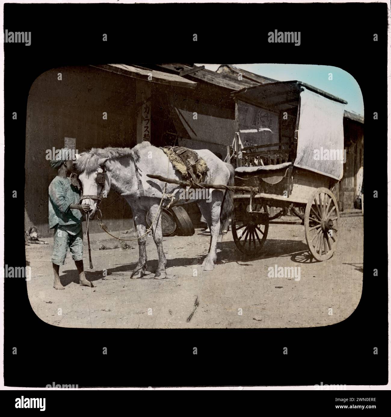 Horse pulling a cart. Horse pulling a cart Stock Photo - Alamy
