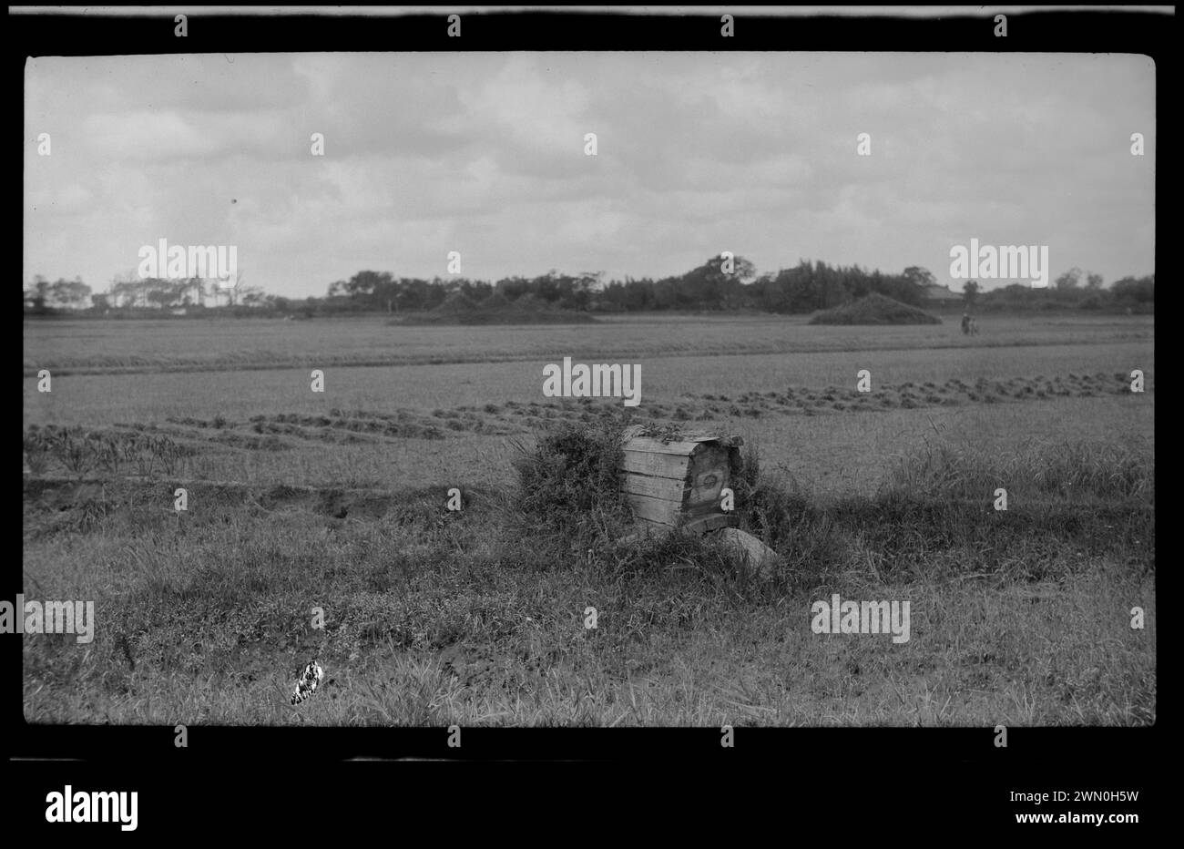 Field with grave mound?. Field with grave mound Stock Photo - Alamy