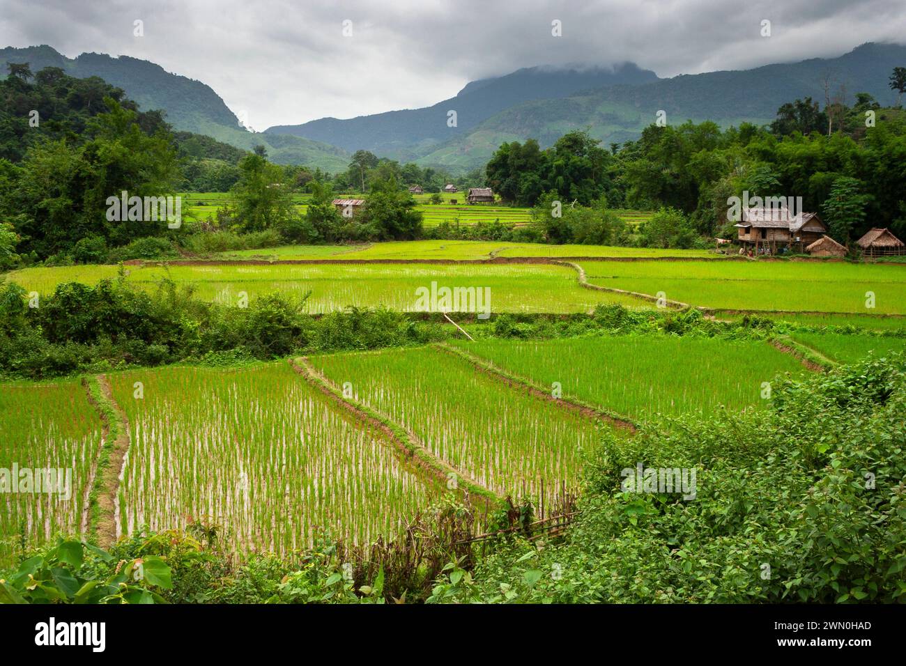 Rural community in the mountains near Nong Khiaw and the Nam Ou river ...