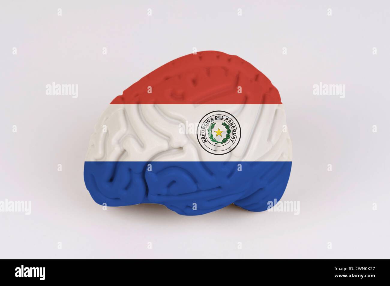 On a white background, a model of the brain with a picture of a flag ...