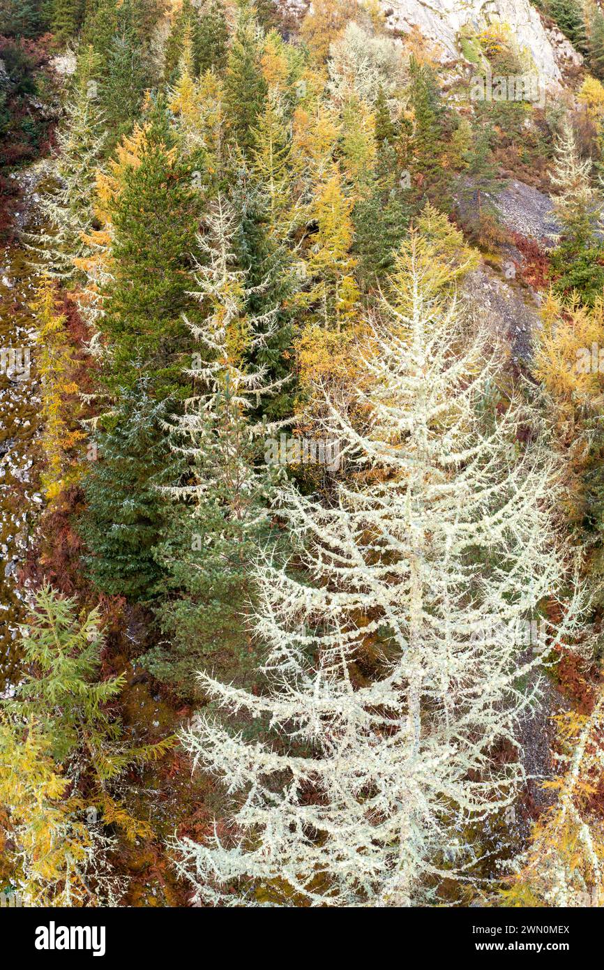 Aerial shot cliff covered trees hi-res stock photography and images - Alamy