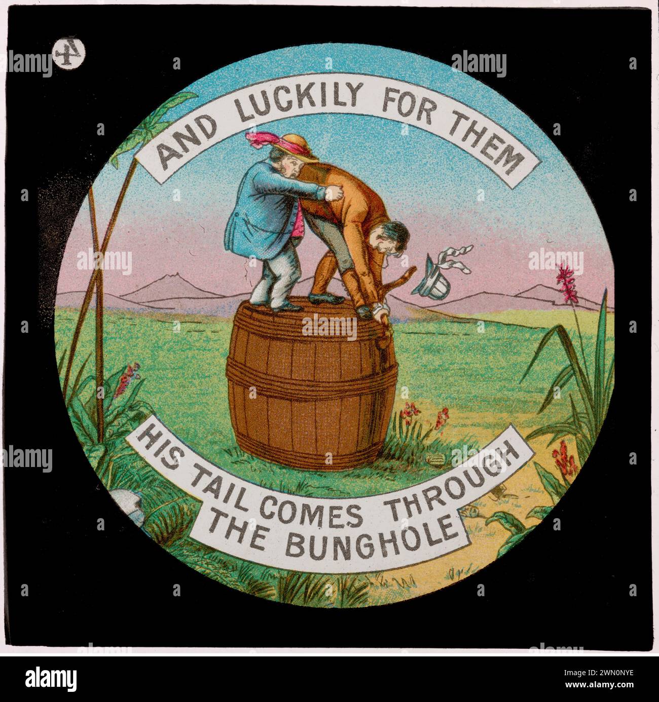 Hunters trapping a tiger in a barrel. Hunters trapping a tiger in a ...
