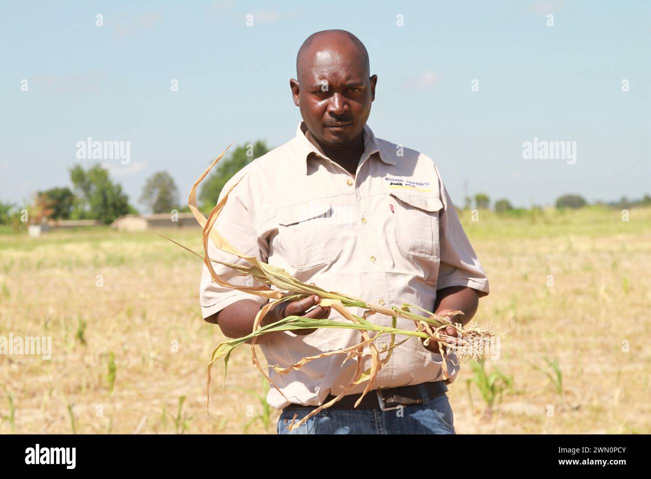 Mawarire hi-res stock photography and images - Alamy