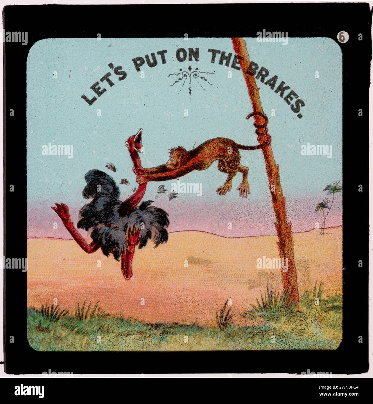 Monkey in a tree choking an ostrich. Monkey in a tree choking an ...