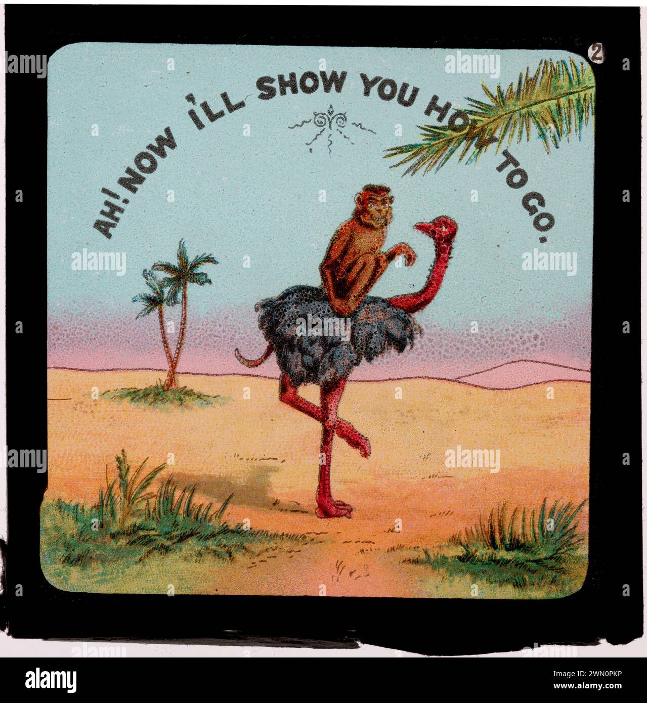 Monkey riding an ostrich. Monkey riding an ostrich Stock Photo - Alamy