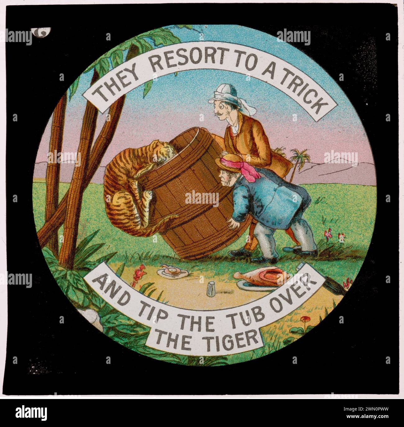 Hunters trapping a tiger in a barrel. Hunters trapping a tiger in a ...