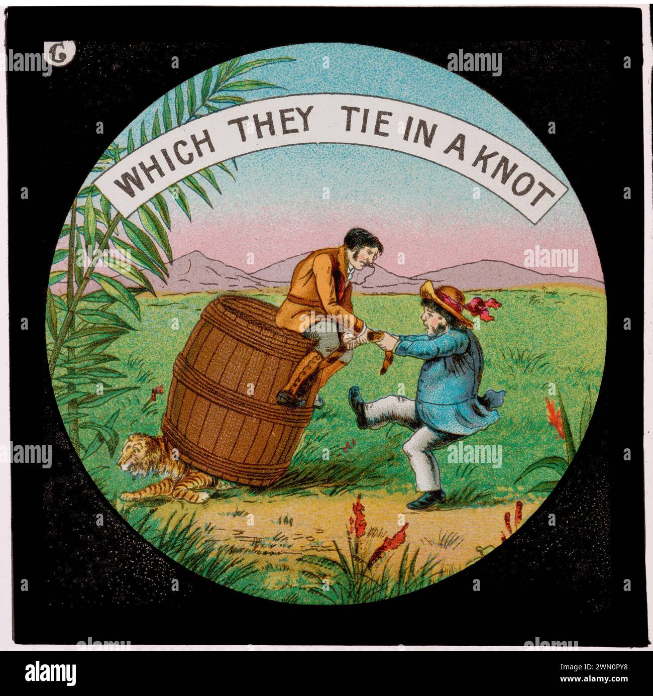 Hunters trapping a tiger in a barrel. Hunters trapping a tiger in a ...