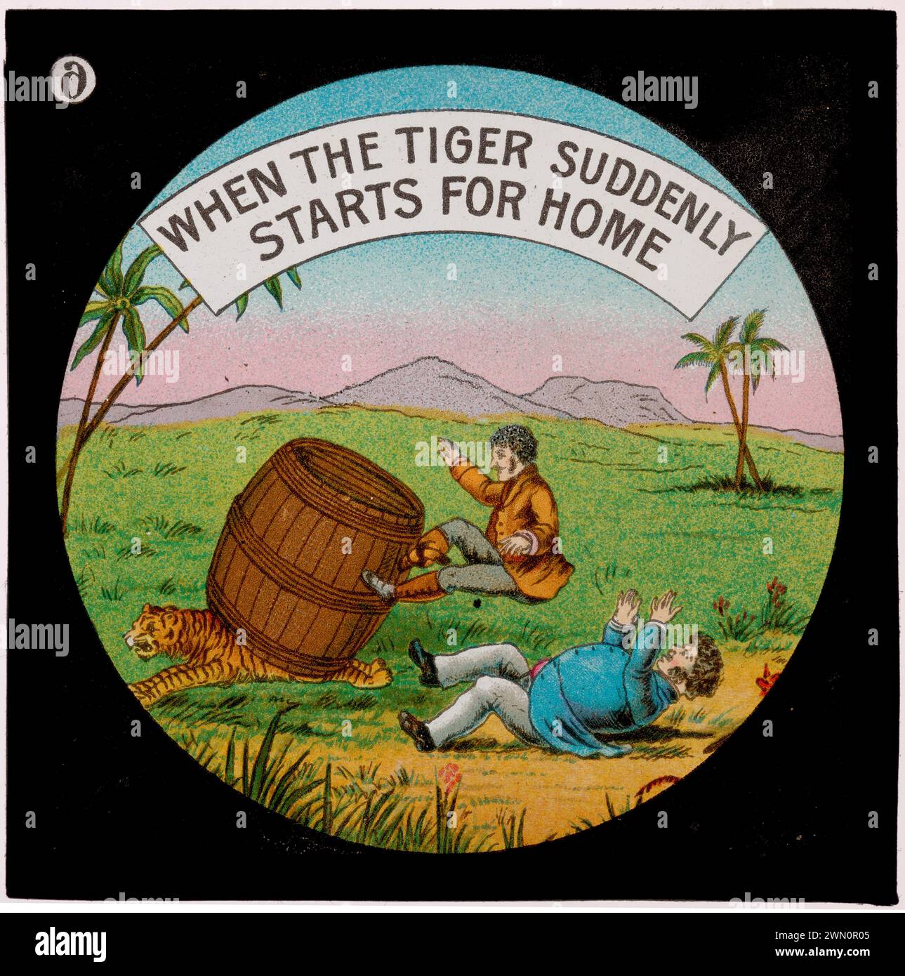 Tiger running under a barrel knocking two men over. Tiger running under ...