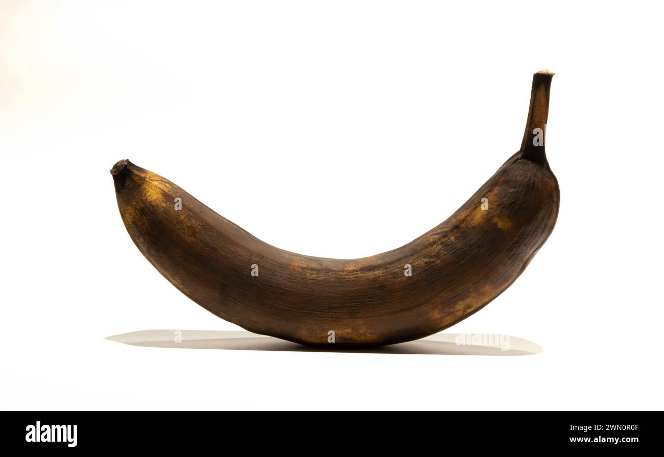 A rotten banana. A black old banana on a white background Stock Photo ...