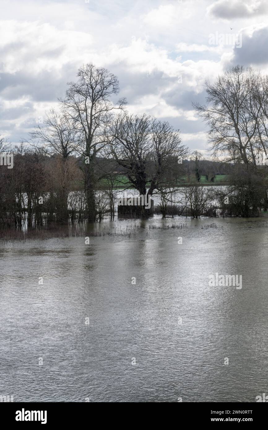 26th February 2024 - Floods at Wallingford, Oxfordshire, UK Stock Photo ...