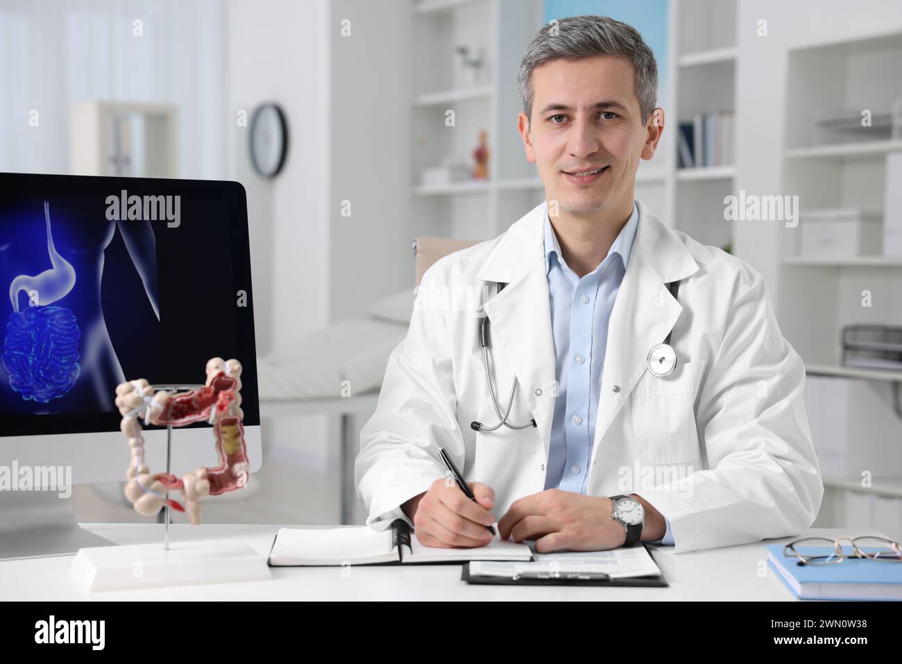 Gastroenterologist with anatomical model of large intestine working at ...