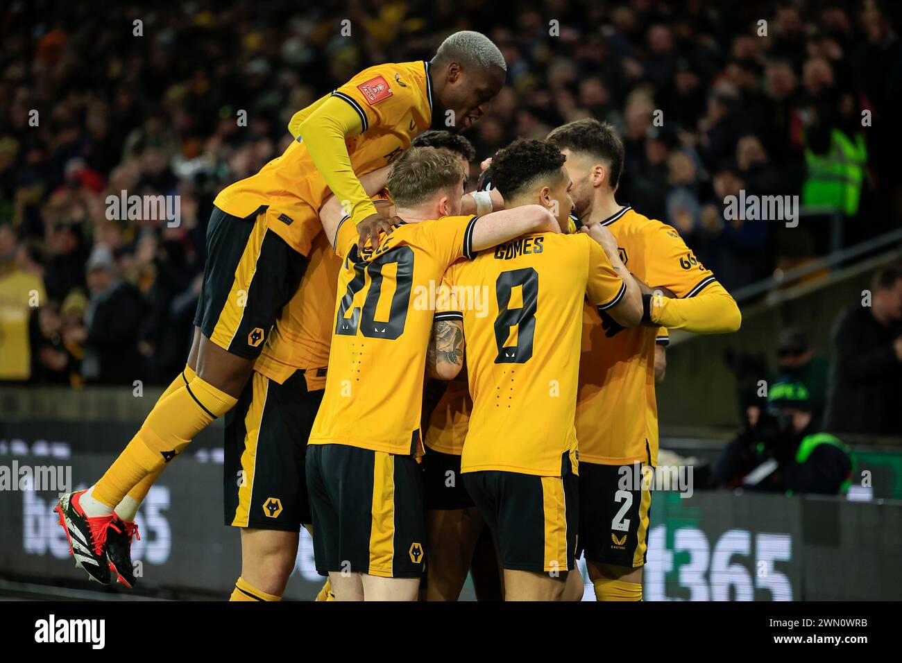 Brighton vs wolves hi-res stock photography and images - Alamy