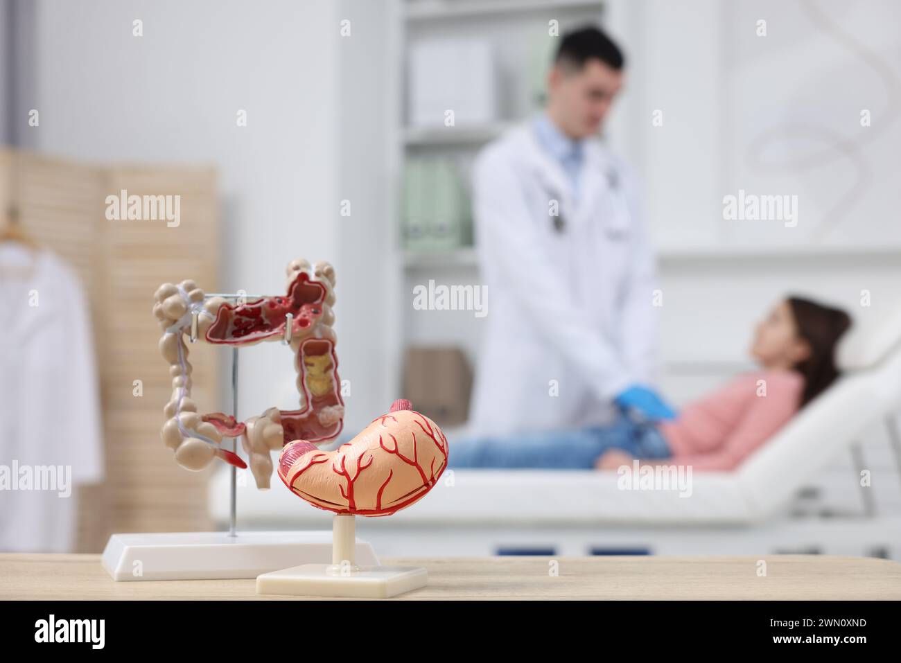 Gastroenterologist examining girl in clinic, focus on models of stomach ...