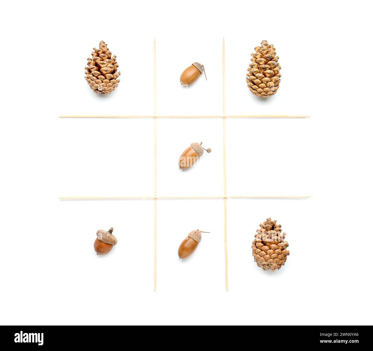 Autumn background cones acorns Cut Out Stock Images & Pictures - Alamy