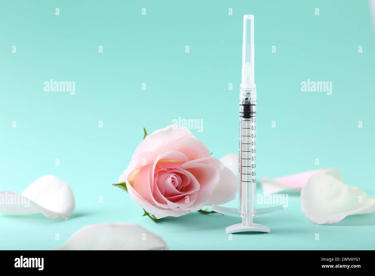 Cosmetology. Medical syringe, rose flower and petals on turquoise ...
