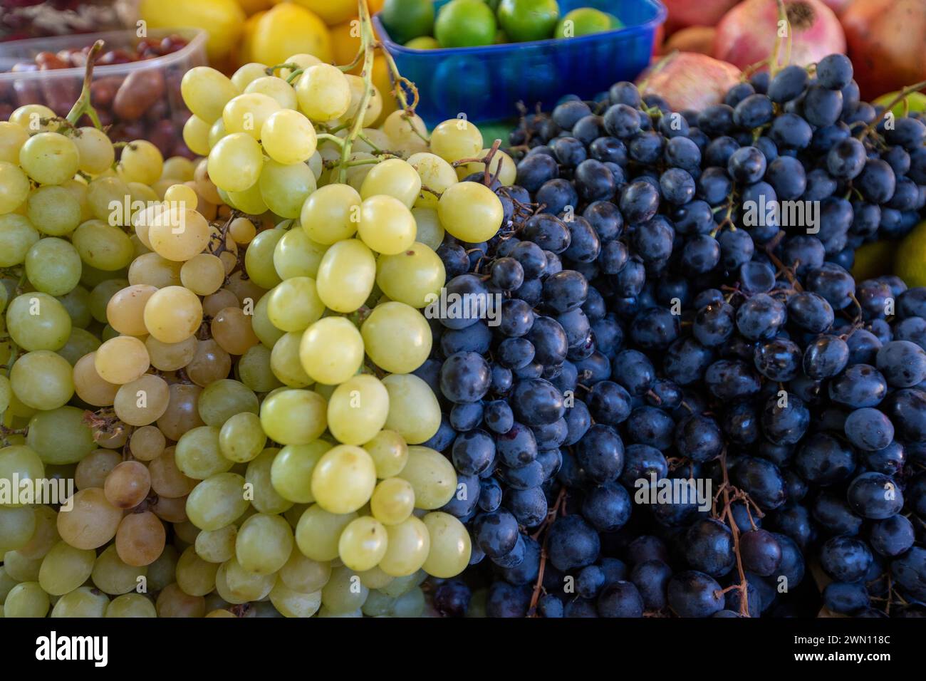 Display of fresh colorful grapes on market in Europe Stock Photo - Alamy