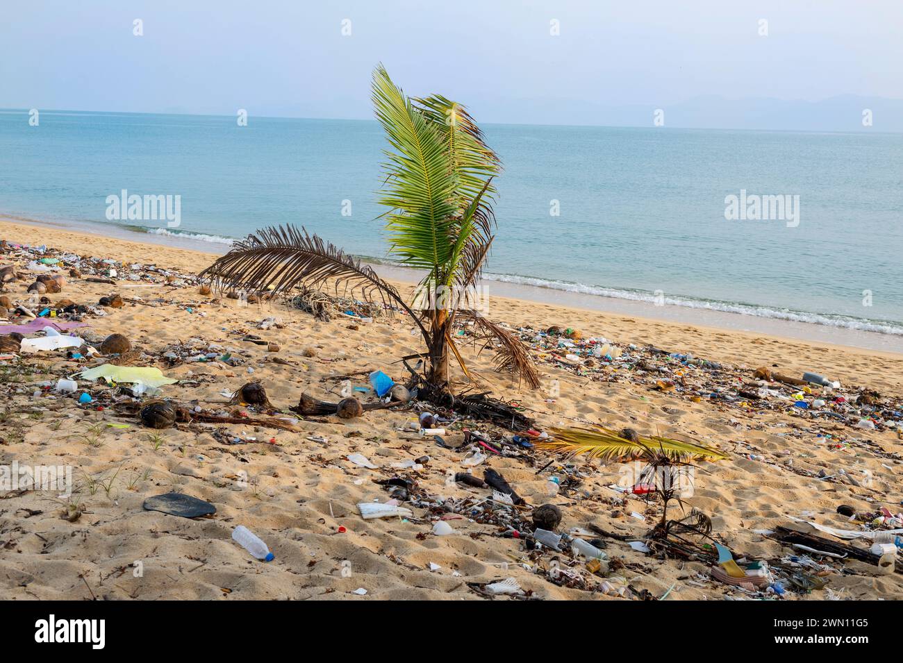 Koh Samui, Thailand - 19 January, 2024: A deserted beach, littered with ...