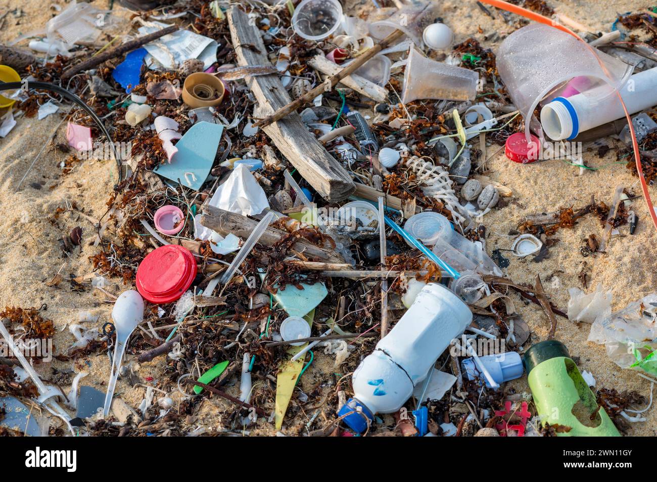 Koh Samui, Thailand - 19 January, 2024: A deserted beach, littered with ...
