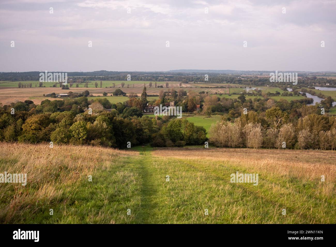 Wittenham Clumps Views, Oxfordshire Stock Photo - Alamy