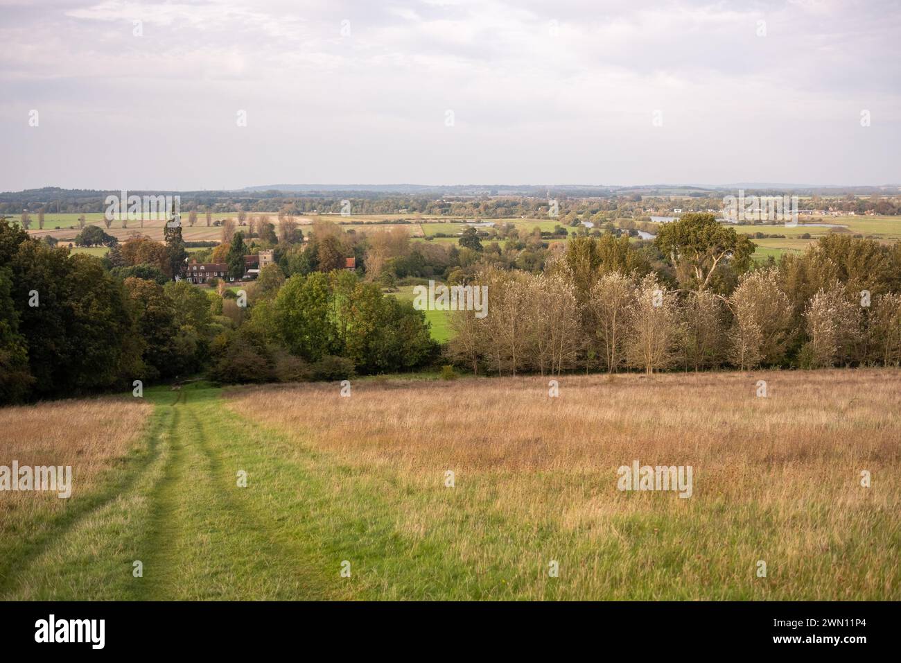 Wittenham Clumps Views, Oxfordshire Stock Photo - Alamy