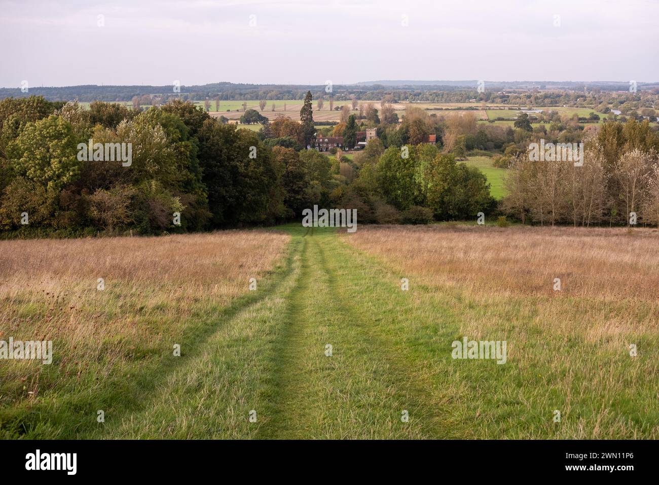 Wittenham Clumps Views, Oxfordshire Stock Photo - Alamy