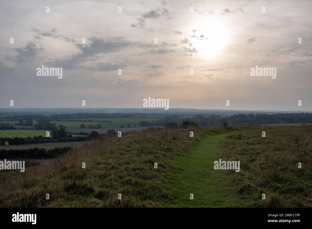 Wittenham Clumps Views, Oxfordshire Stock Photo - Alamy