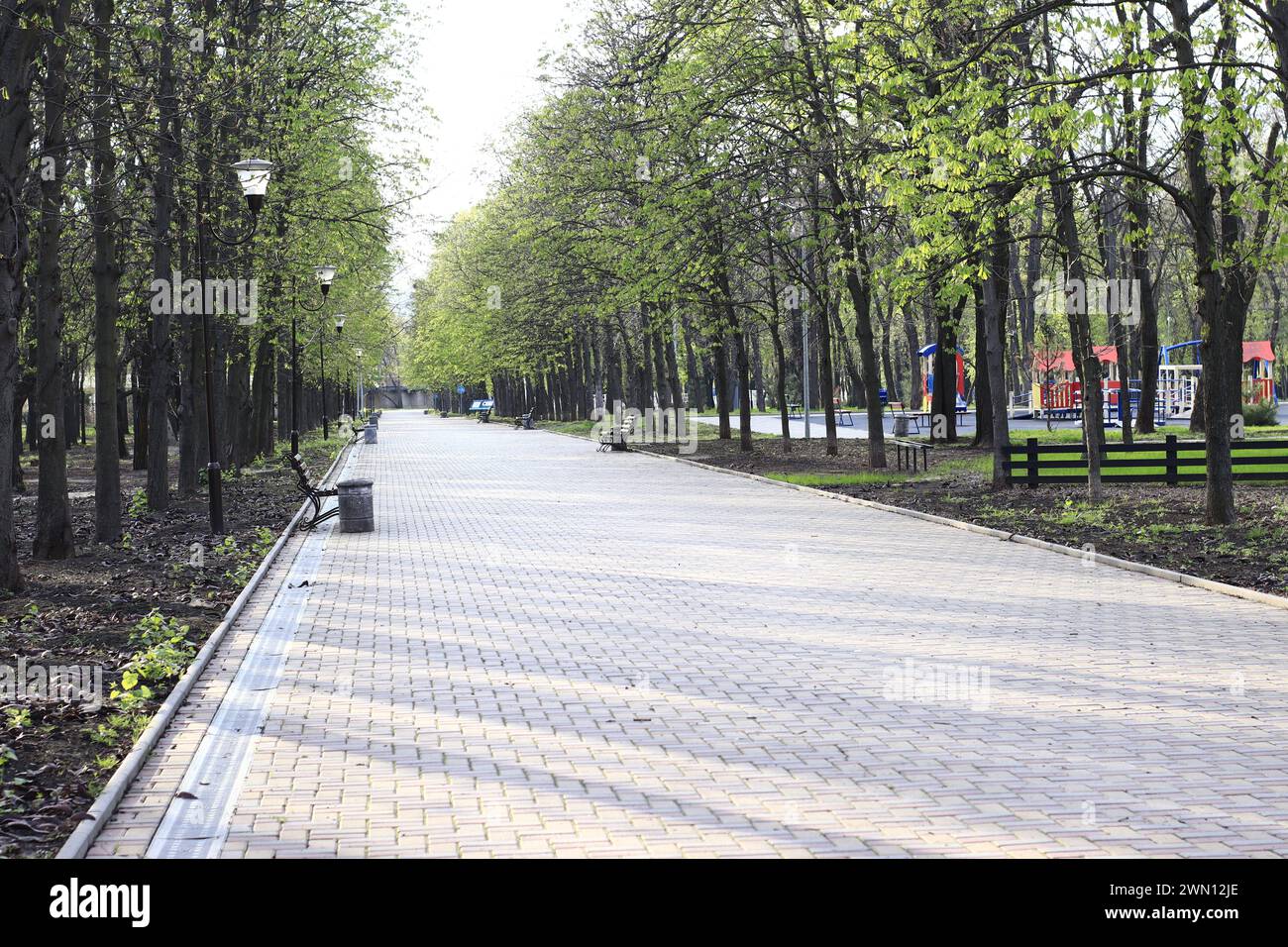 The alley in the park is lined with paving slabs Stock Photo - Alamy