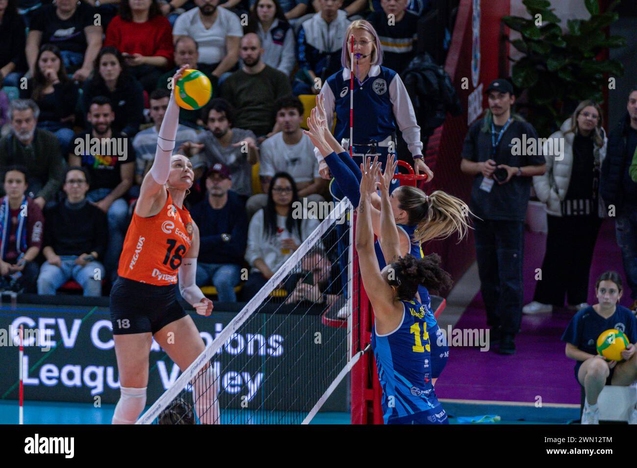 Irina voronkova hi-res stock photography and images - Alamy