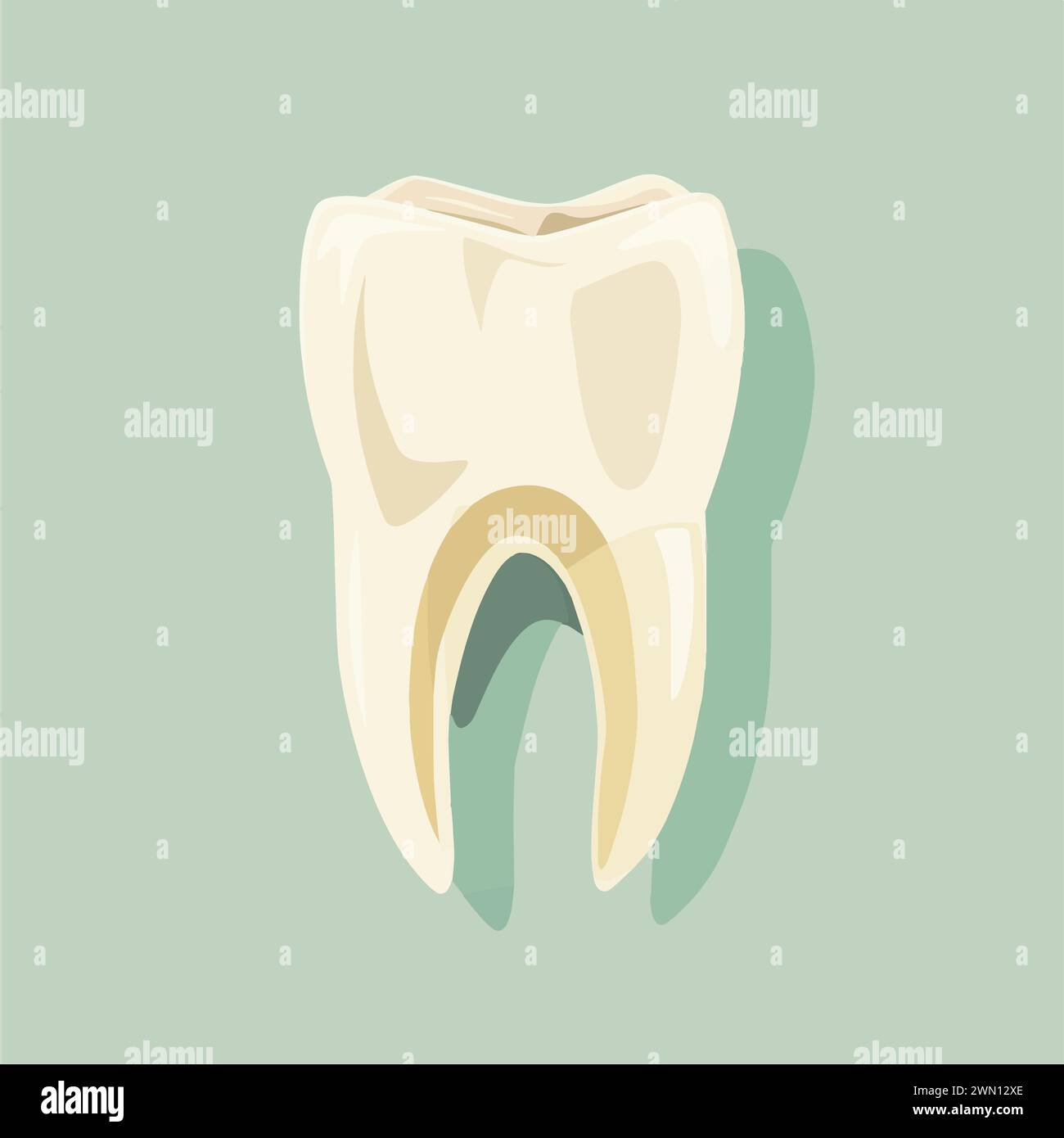 The healthy tooth simple illustration Stock Vector Image & Art - Alamy