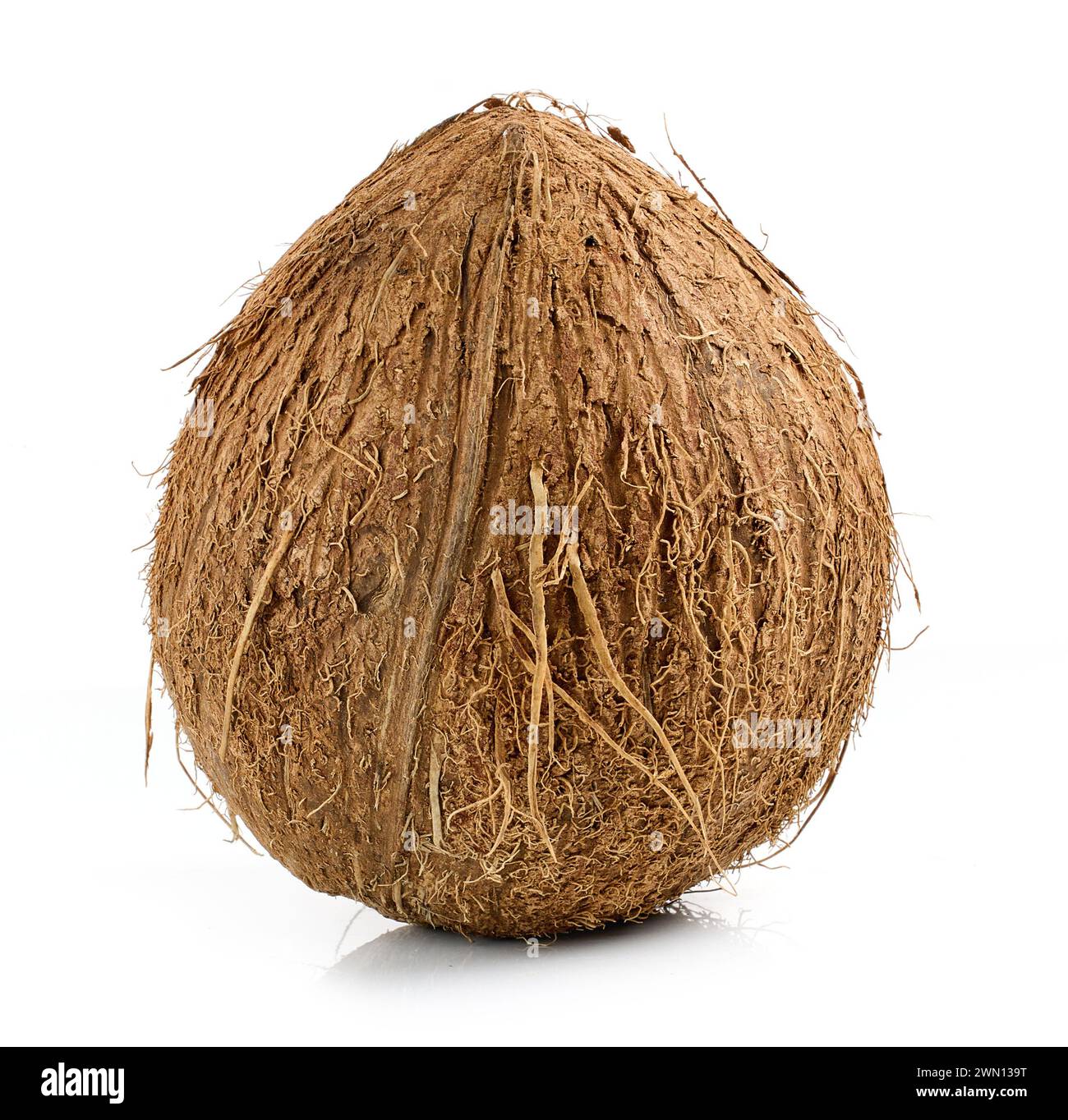 Whole coconut hi-res stock photography and images - Alamy
