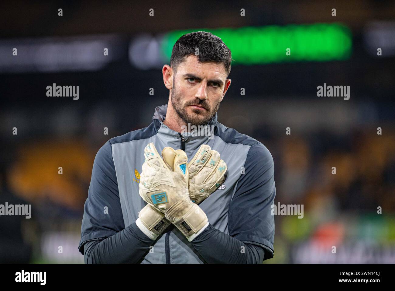 Tom king wolves hi-res stock photography and images - Alamy