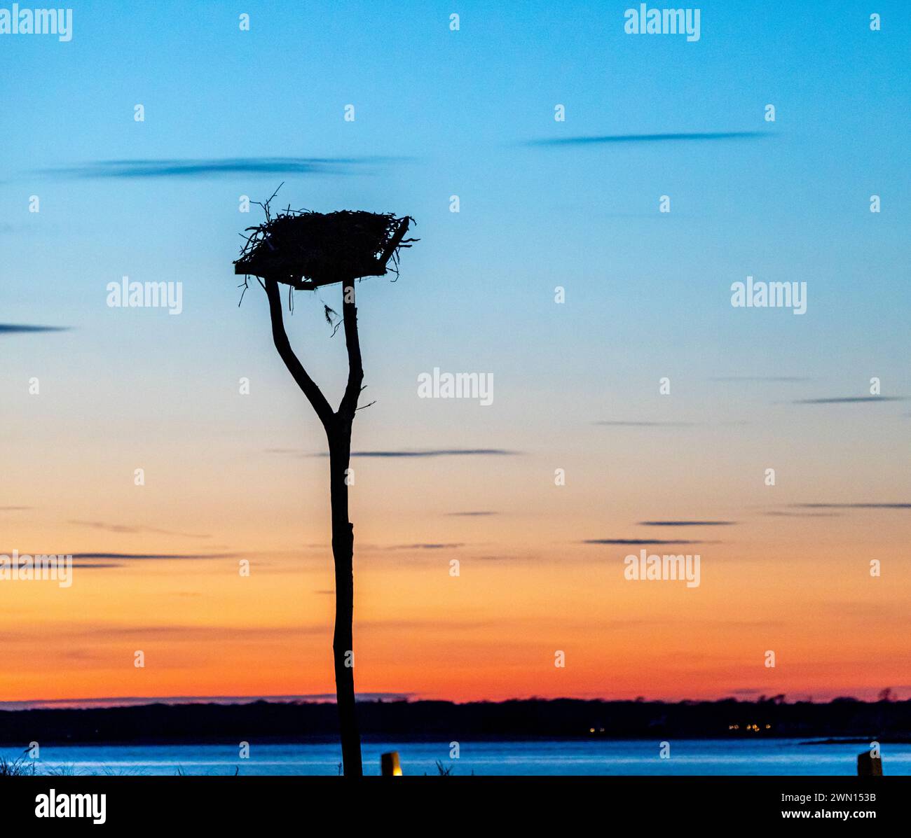 High big nest hi-res stock photography and images - Alamy